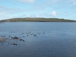Curious Isles – A Life on Orkney | Caught by the River | Caught by the ...