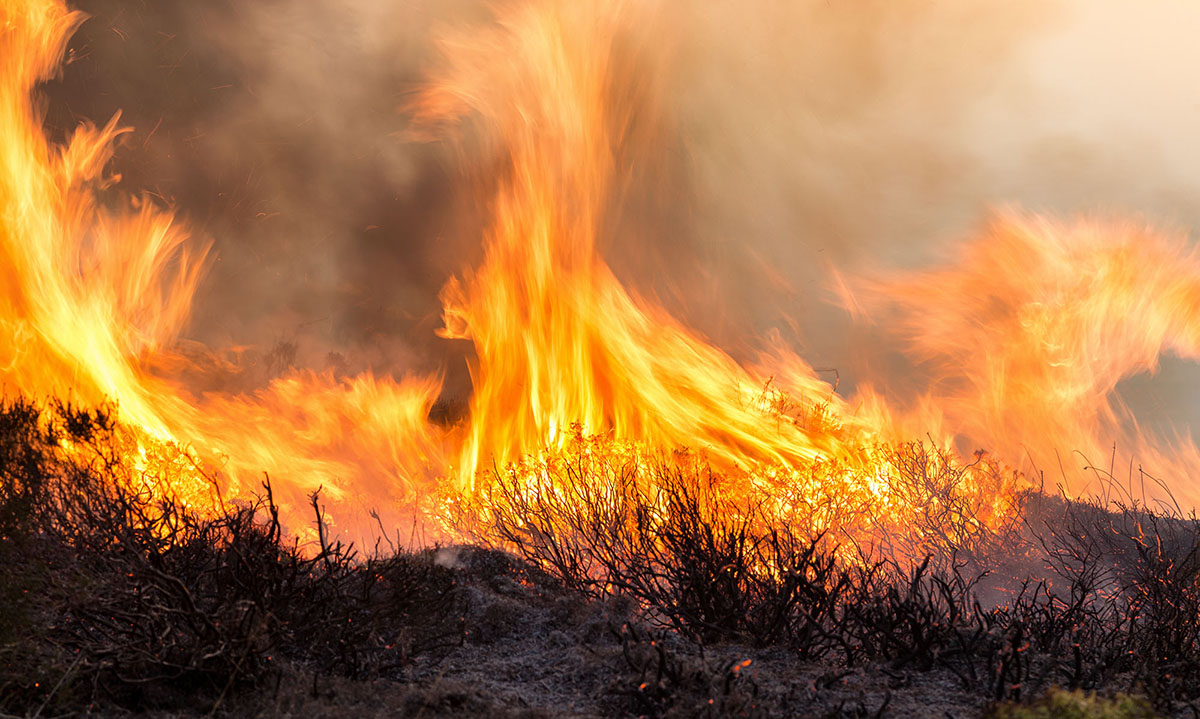 A Postcard From the Outer Hebrides: Fire! | Caught by the River ...