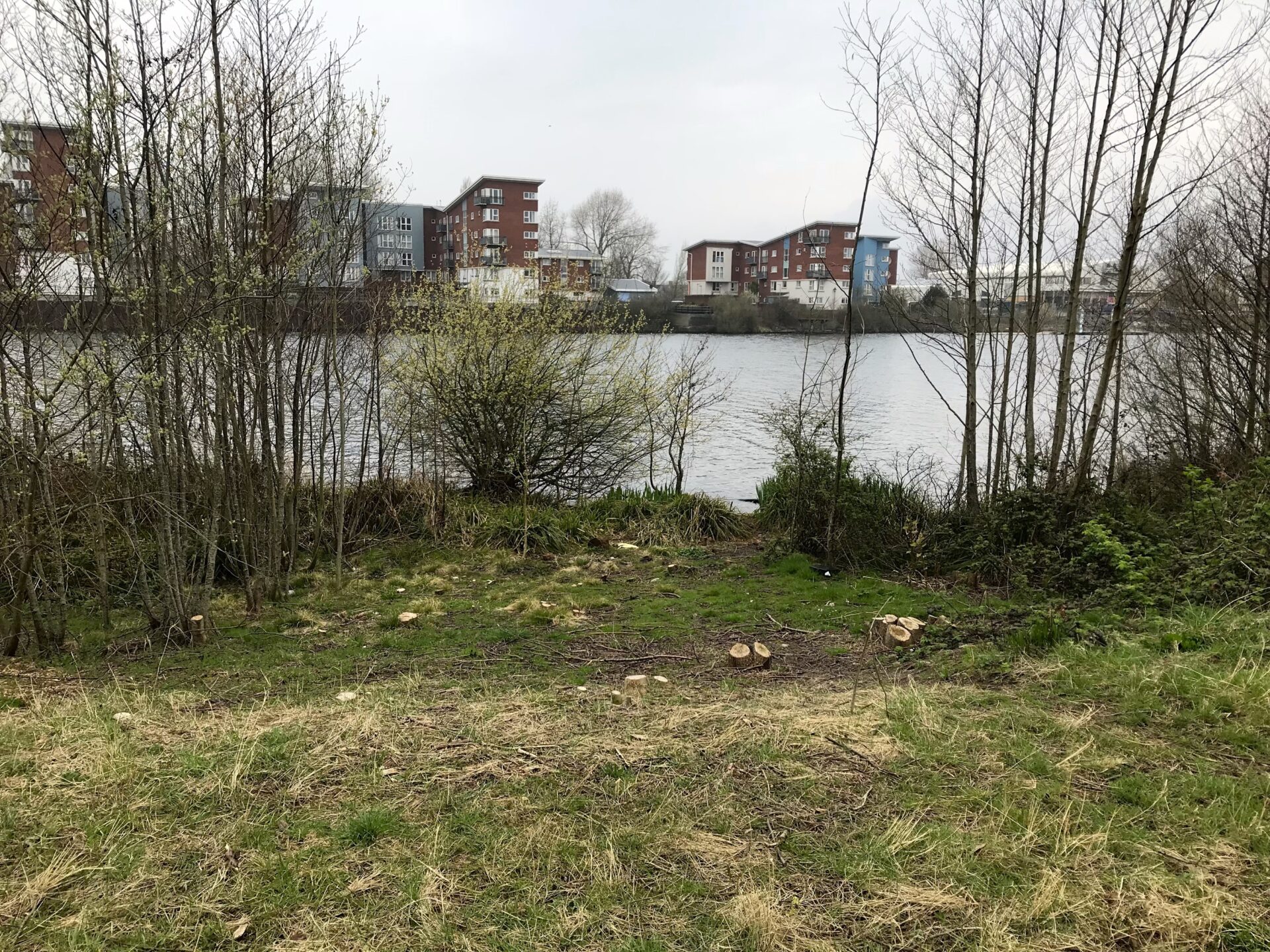 Wandering the River Taff: Hamadryad Park | Caught by the River | Caught ...