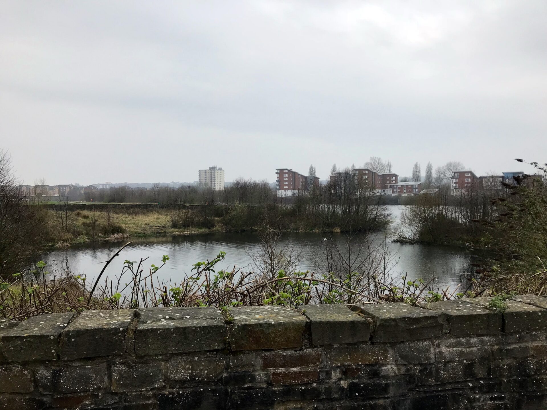 Wandering the River Taff: Hamadryad Park | Caught by the River | Caught ...