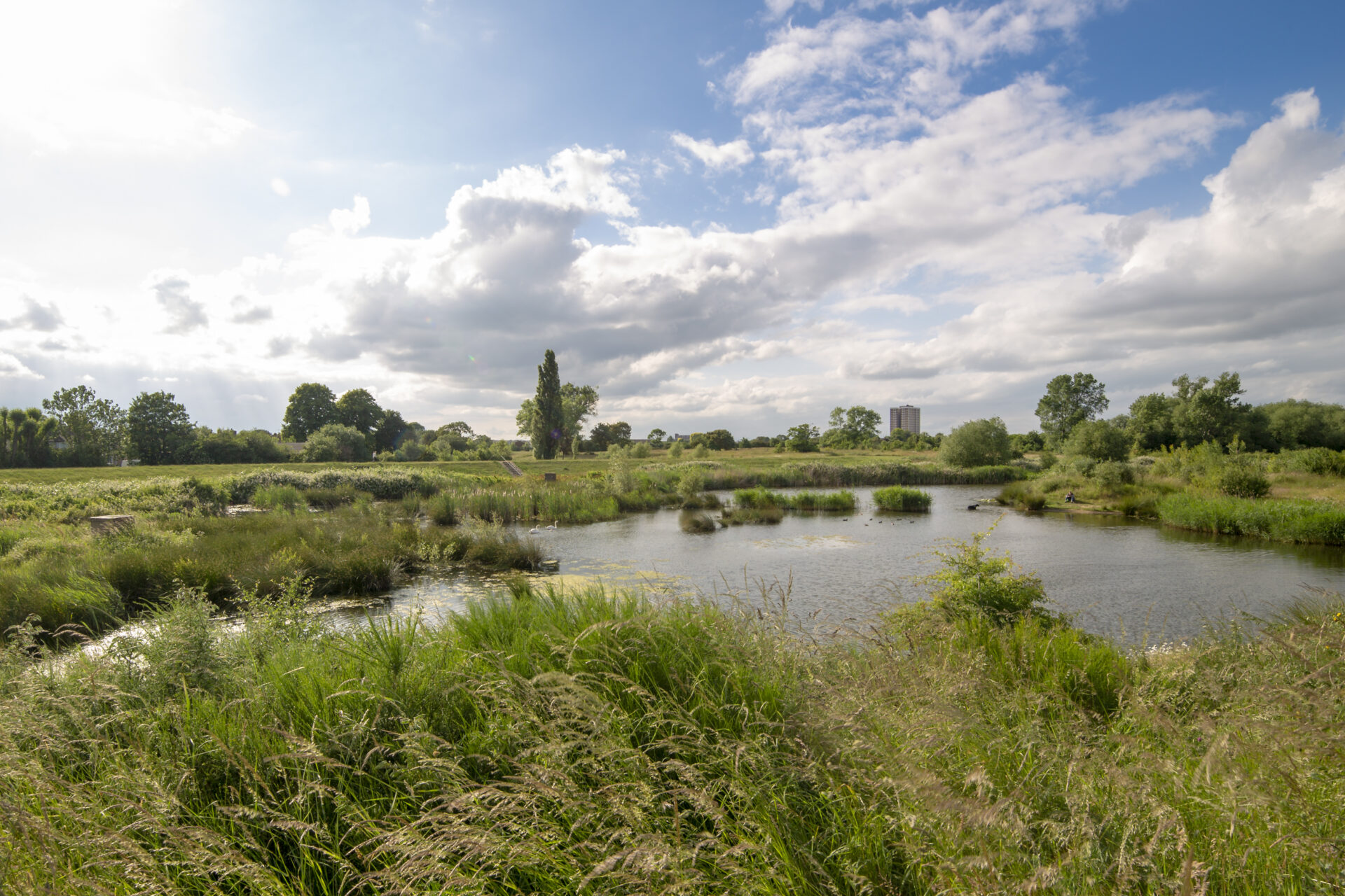 Rewilding London’s Rivers | Caught by the River | Caught by the River