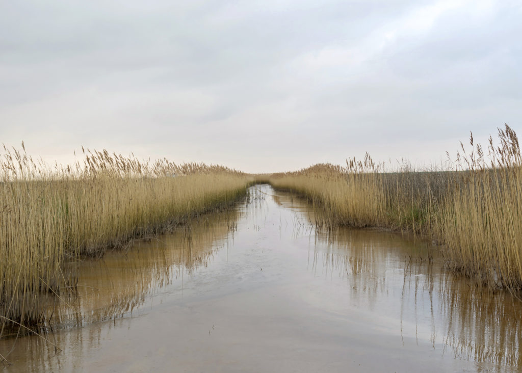 A Fluid Landscape | Caught by the River | Caught by the River