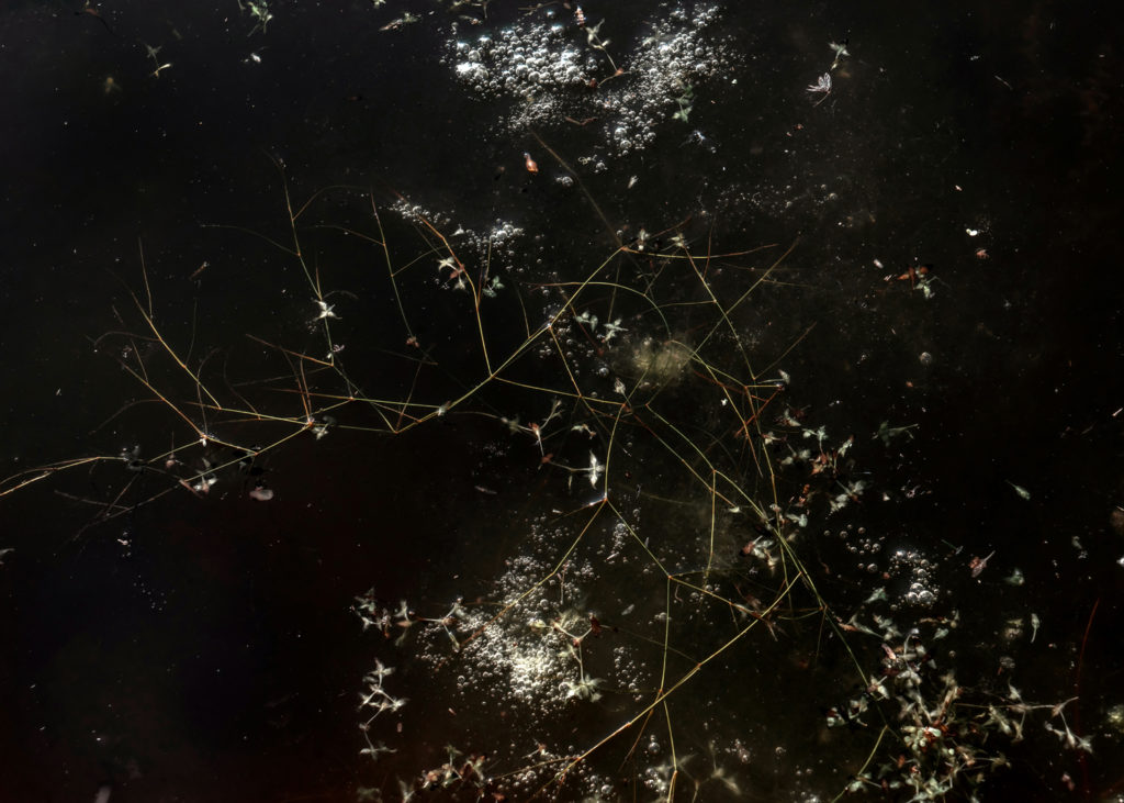 A Fluid Landscape | Caught by the River | Caught by the River