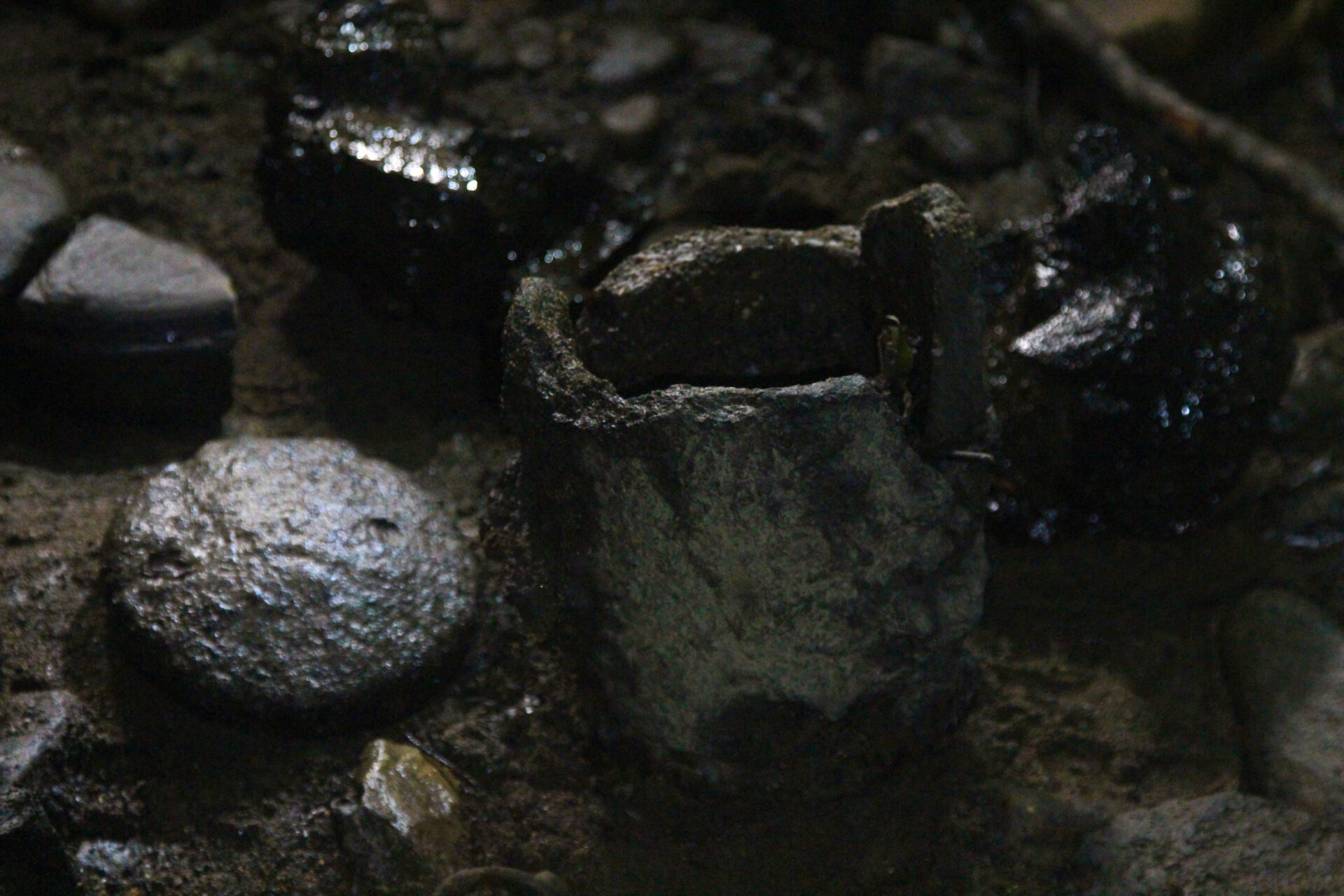 Nick’s Pics | Caught by the River | Caught by the River