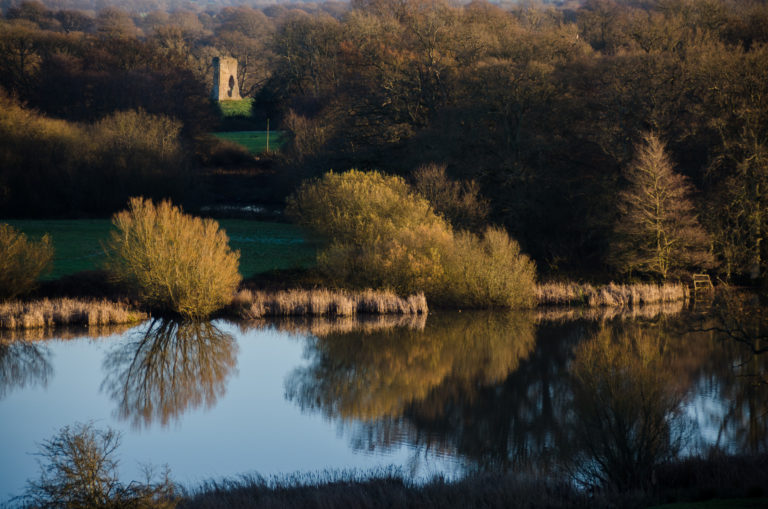 Where the Re-Wilding Things Are | Caught by the River | Caught by the River