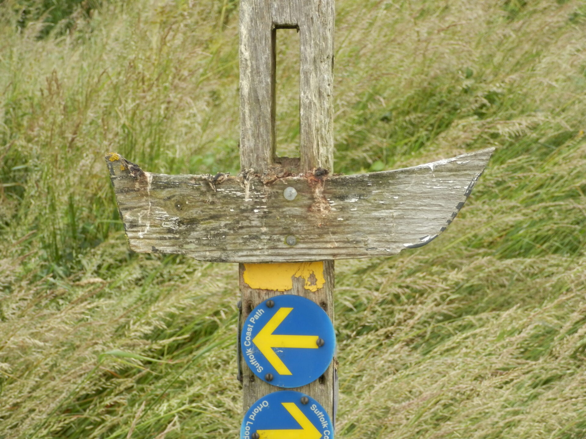 Many Rivers to Cross: The Butley Ferry, Part I | Caught by the River ...