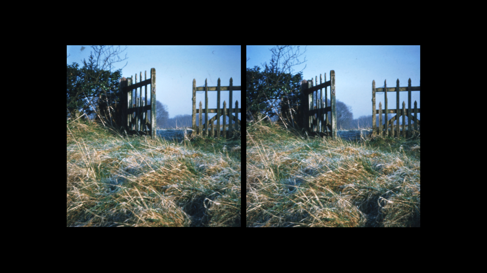 Mirry | Caught by the River | Caught by the River