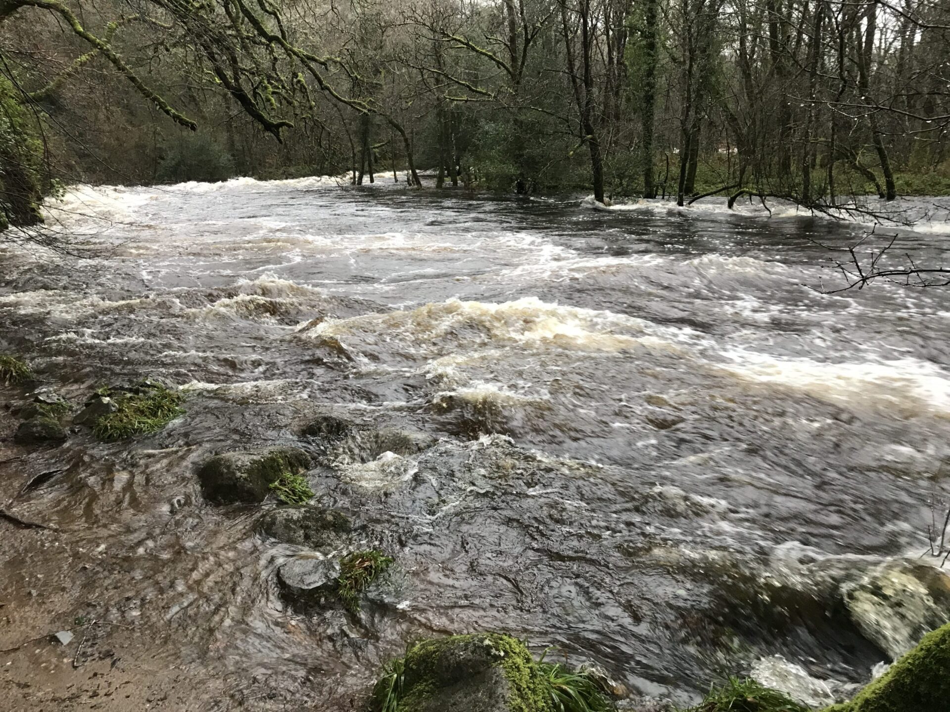 Familiar Water | Caught by the River | Caught by the River