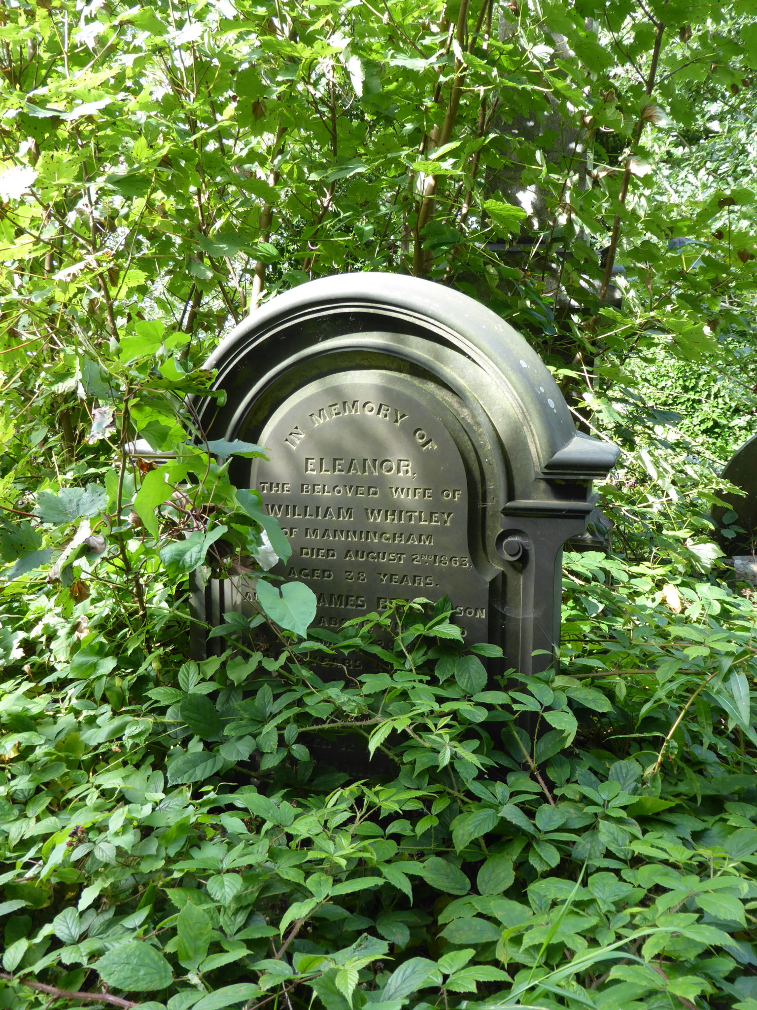 Two Cemeteries, Two Cities | Caught by the River | Caught by the River