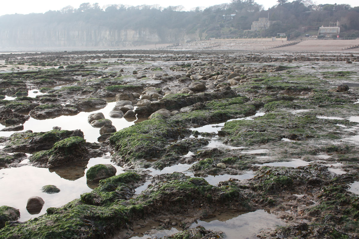 Ghost Forest | Caught by the River | Caught by the River