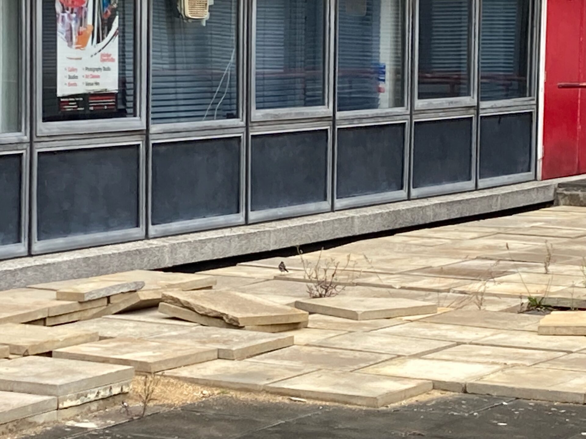 MY GIRL | Caught by the River | Caught by the River