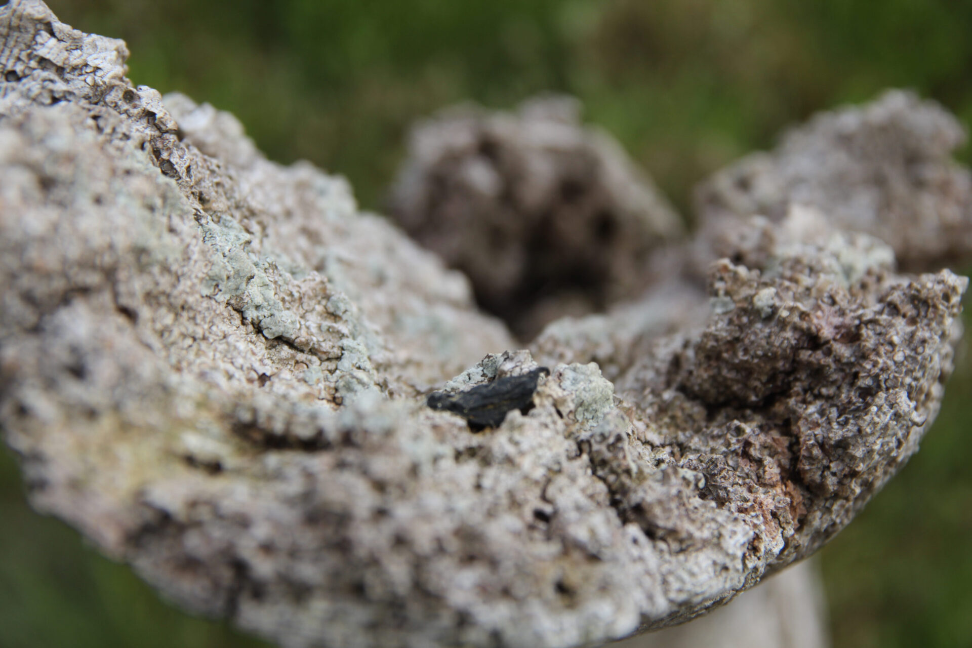Seahenge | Caught by the River | Caught by the River