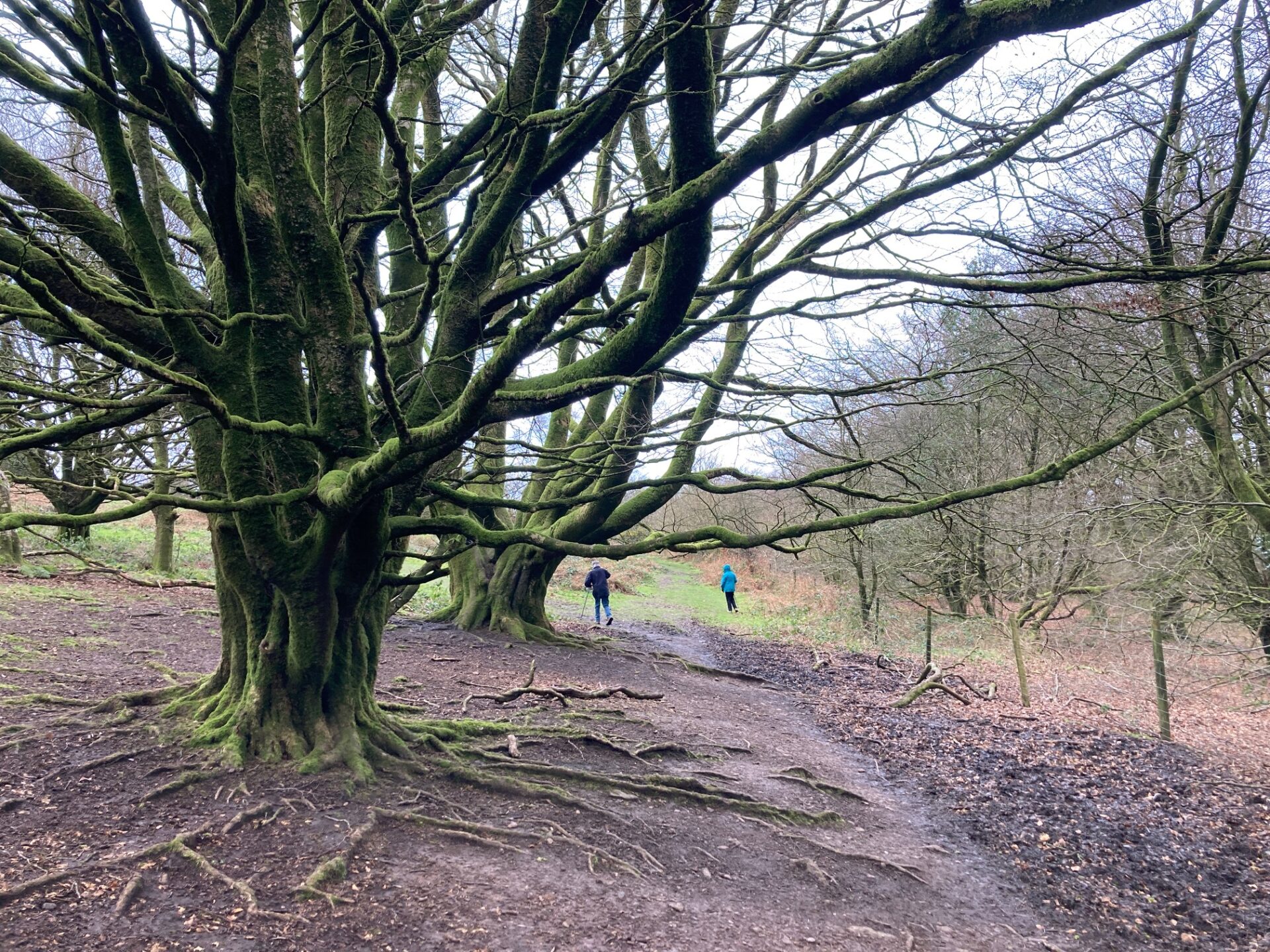 Circuitous Routes, Part 4 | Caught by the River | Caught by the River