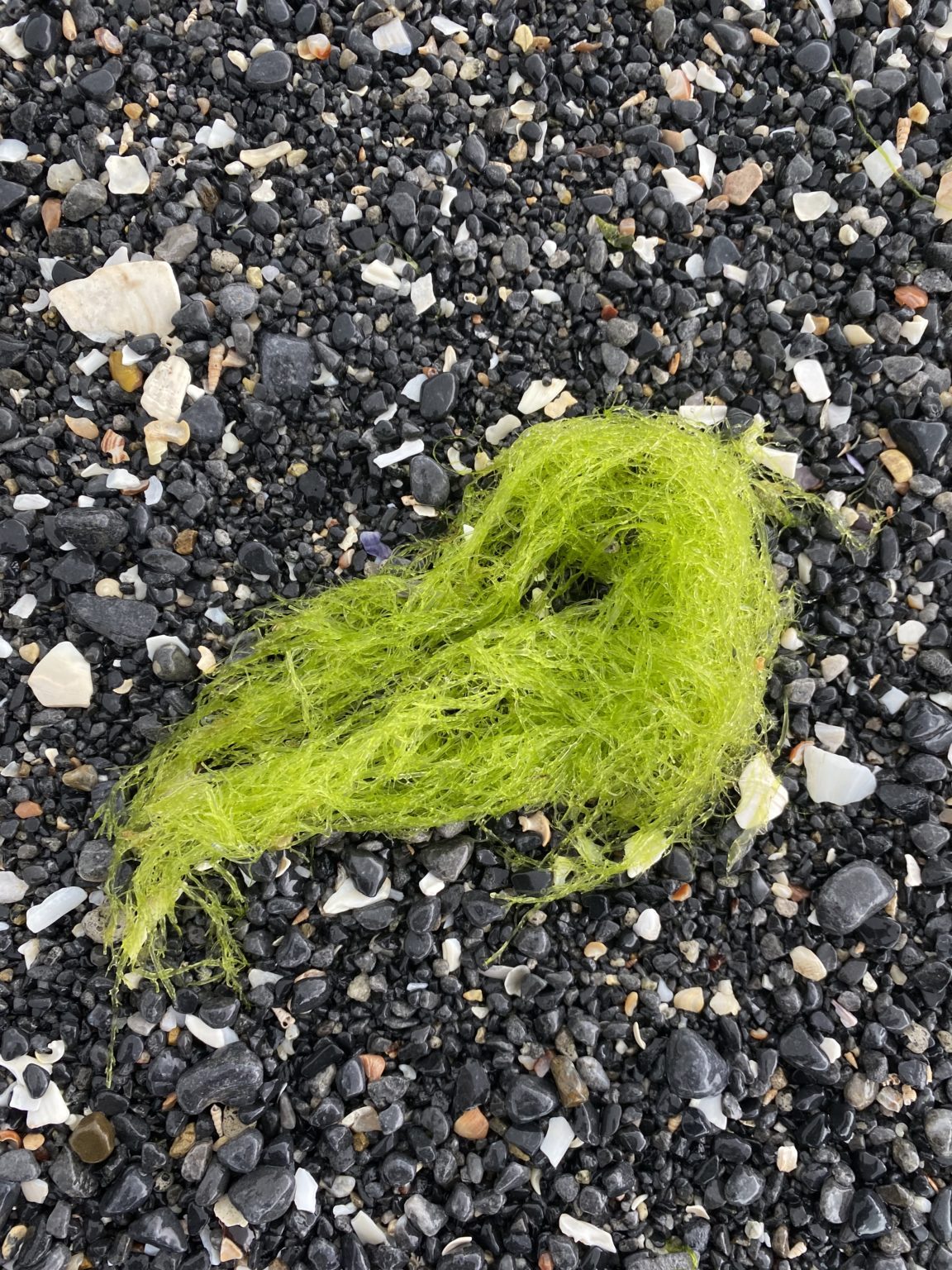 Dúlamán | Caught by the River | Caught by the River