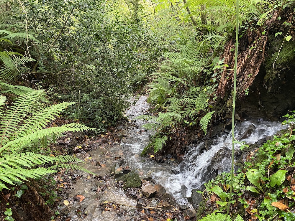 Shallows & Reflections: Cally Callomon | Caught by the River | Caught ...