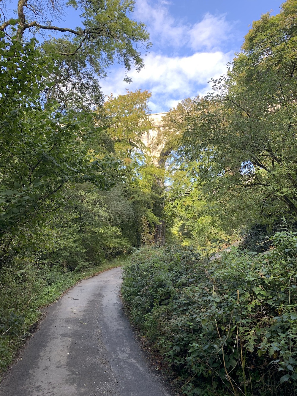 The Narrow Road | Caught by the River | Caught by the River