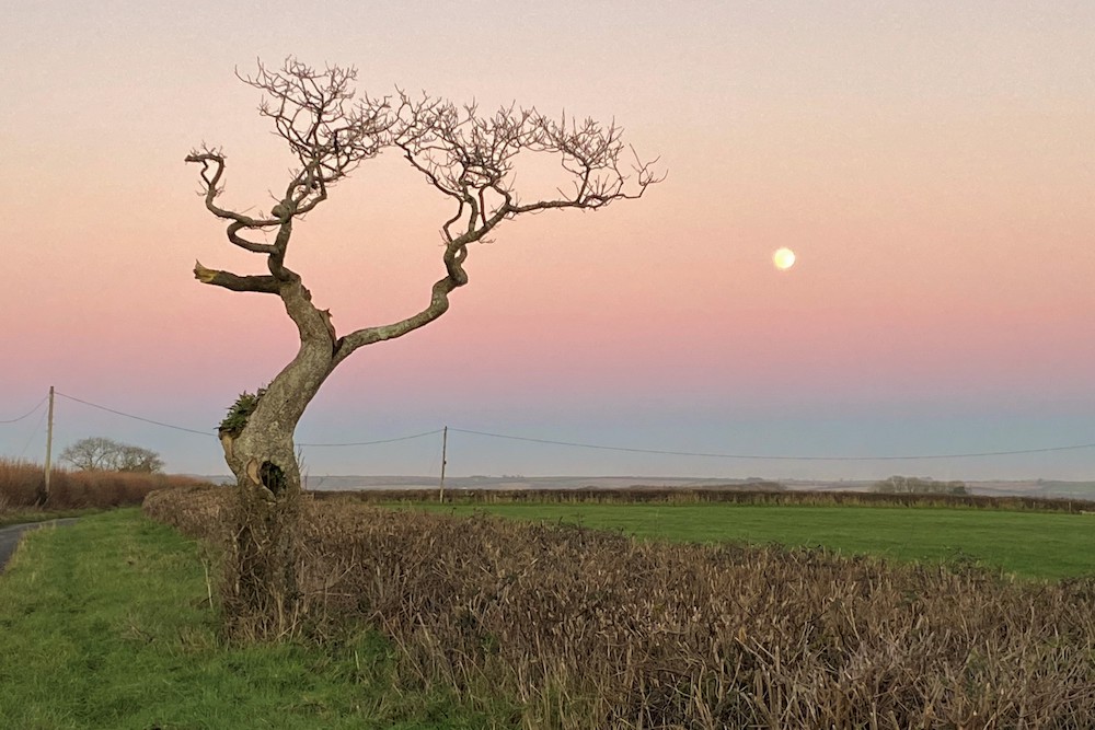 The Quiet Moon | Caught by the River | Caught by the River