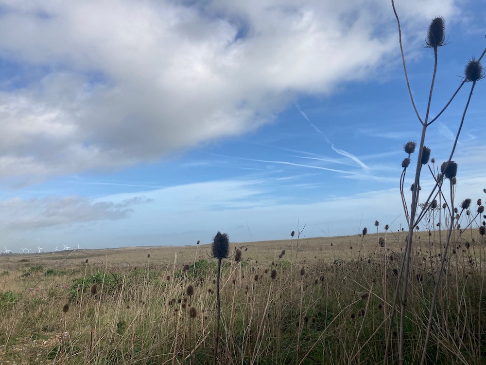 Circuitous Routes, Part 6 | Caught by the River | Caught by the River