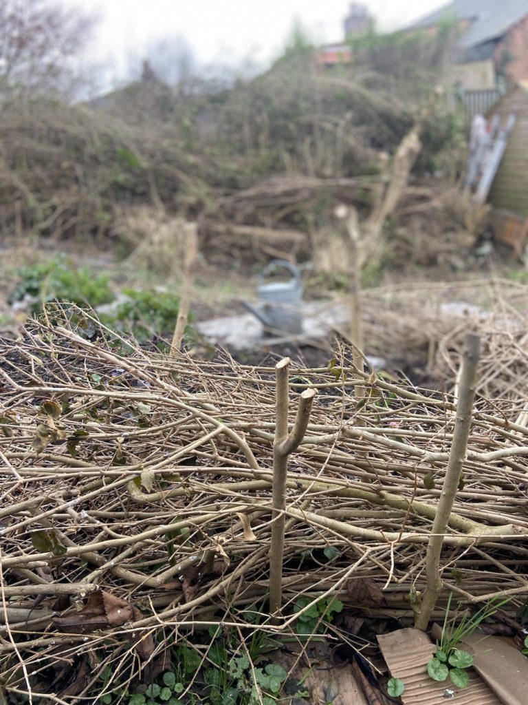 Breaking Ground: Ugly Hedges | Caught by the River | Caught by the River