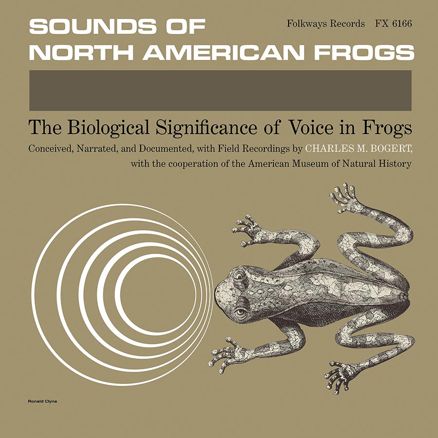 Sounds of North American Frogs | Caught by the River | Caught by the River