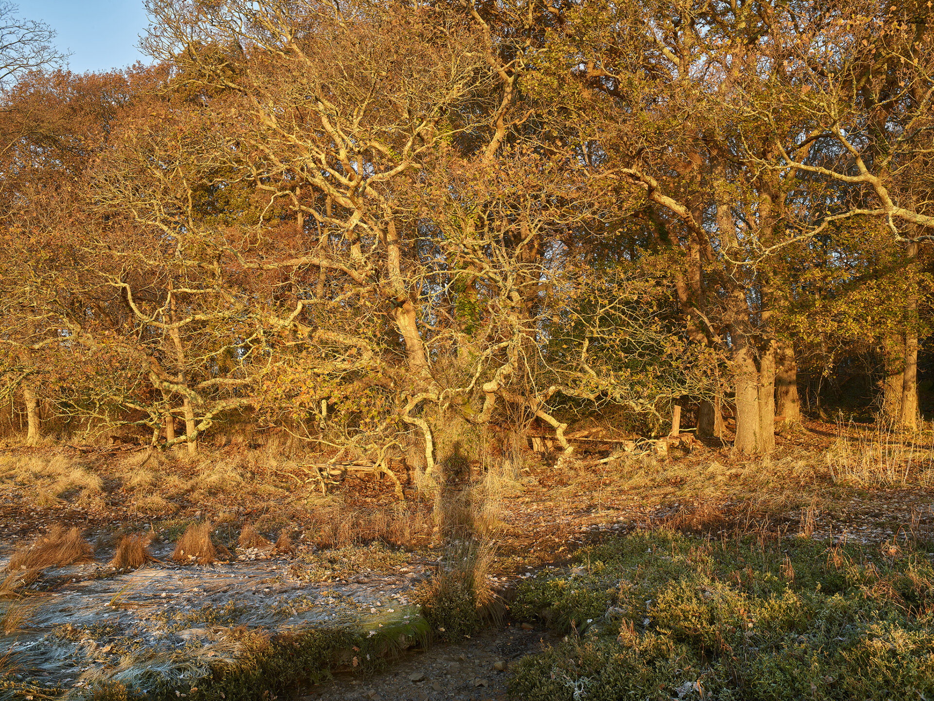 Shadows & Reflections: Mark Mattock | Caught by the River | Caught by ...