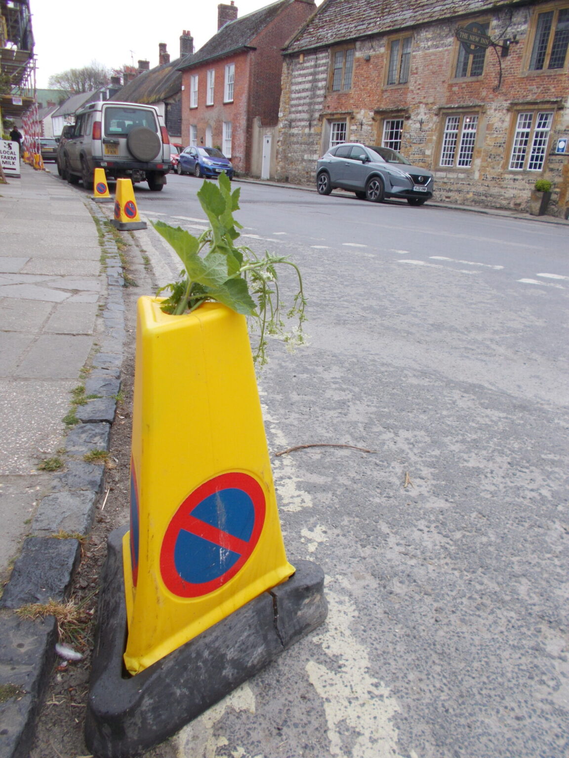 Shadows & Reflections: Jon Woolcott | Caught by the River | Caught by ...