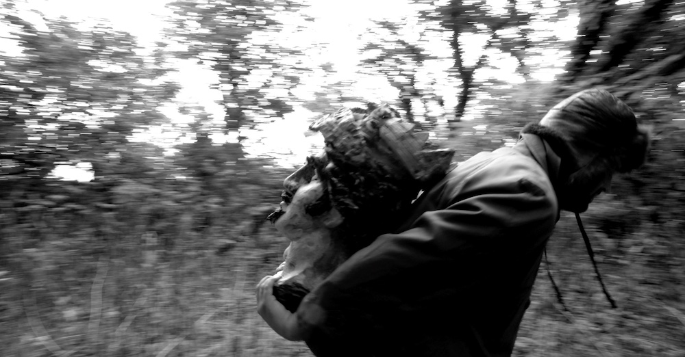 The Mariner Orchard | Caught by the River | Caught by the River