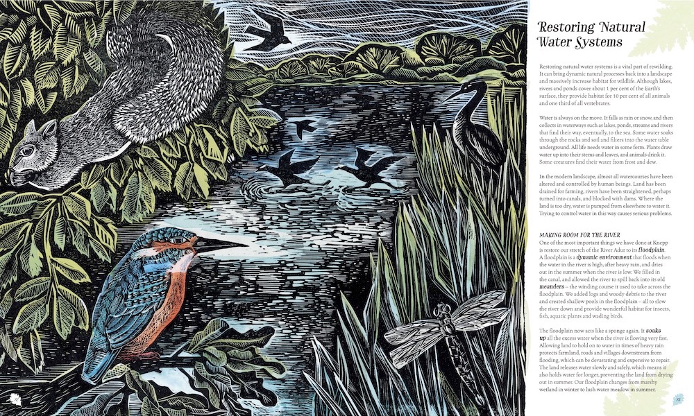 Wilding Reimagined | Caught by the River | Caught by the River