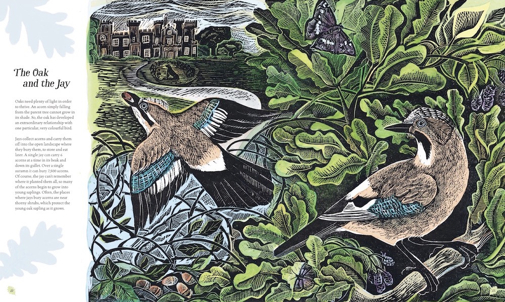 Wilding Reimagined | Caught by the River | Caught by the River