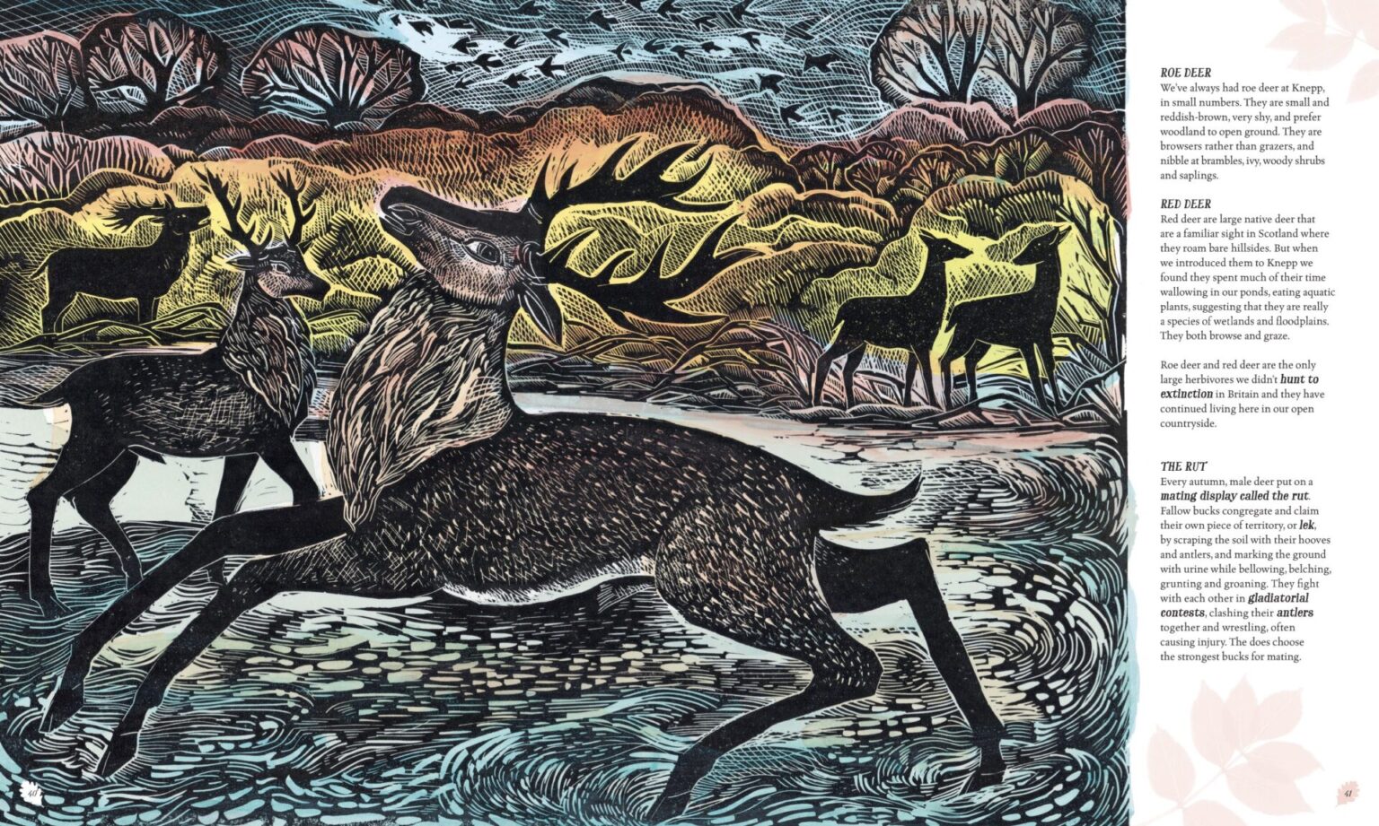 Wilding Reimagined | Caught by the River | Caught by the River