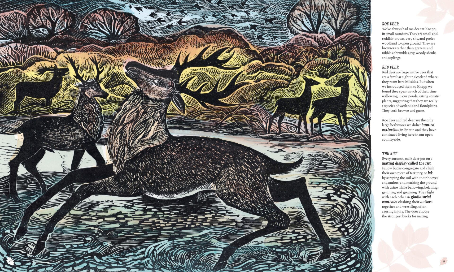 Wilding Reimagined | Caught by the River | Caught by the River