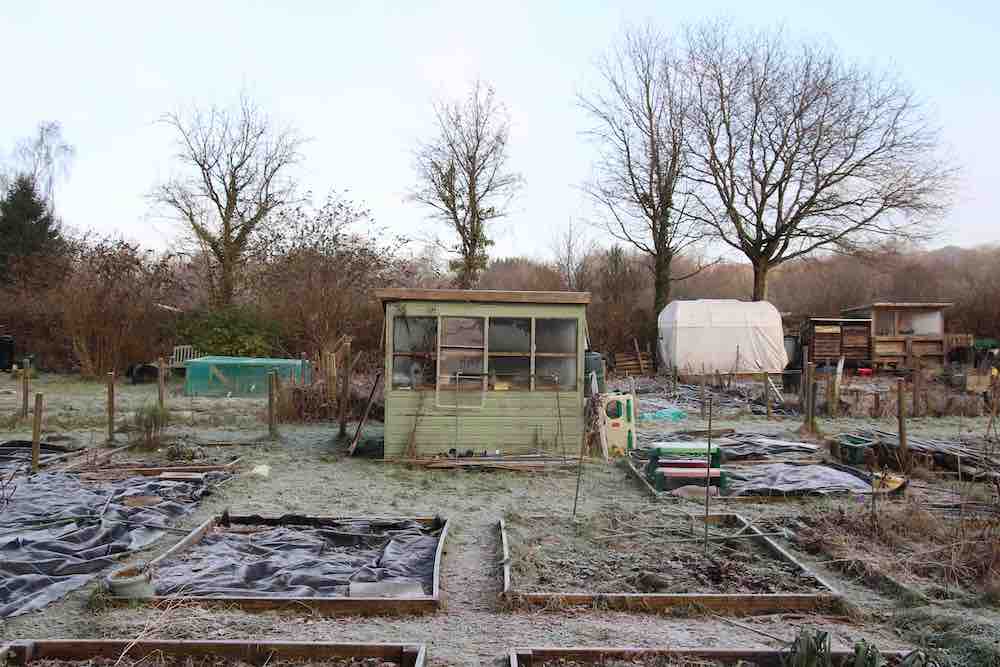 On More Allotments | Caught by the River | Caught by the River