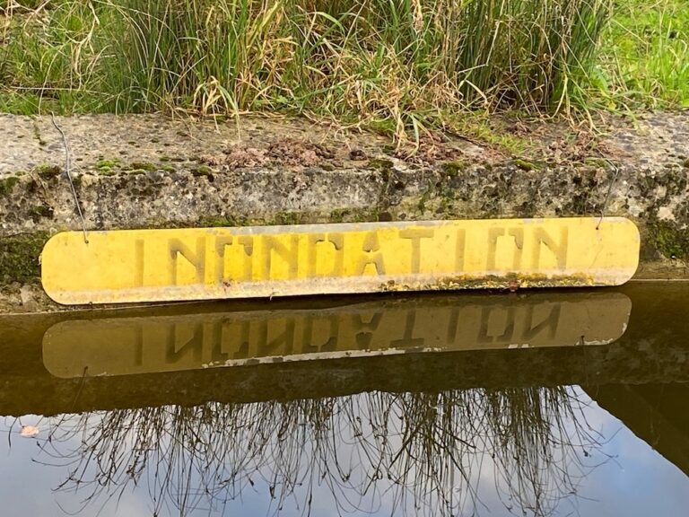 Shadows & Reflections: Cally Callomon | Caught by the River | Caught by ...