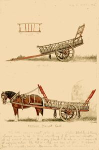 A Life Outside: Hope Bourne on Exmoor | Caught by the River | Caught by ...