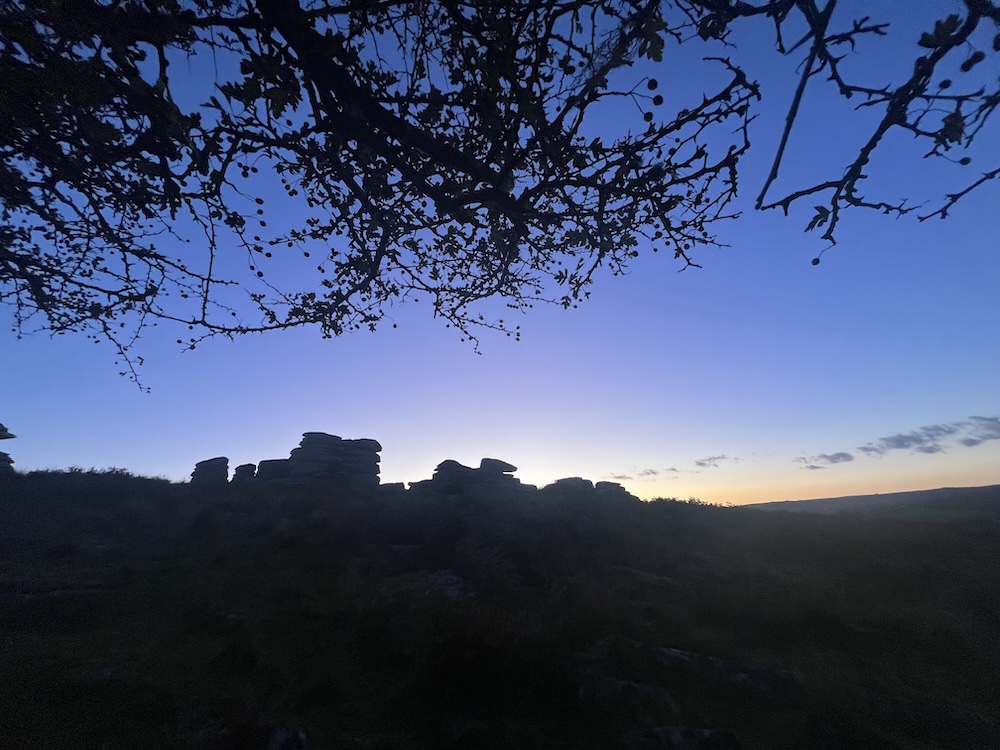 Lichen, Moss & Bone: Hope Rising | Caught by the River | Caught by the ...