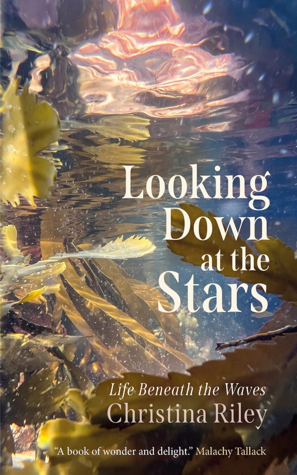 The Caught by the River Book of the Month: November | Caught by the River | Caught by the River